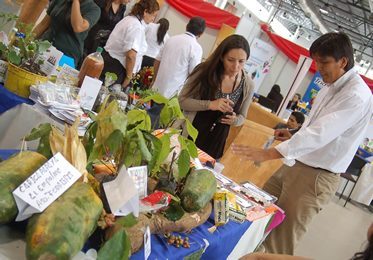 Definición de Comercio Interno » Concepto en Definición