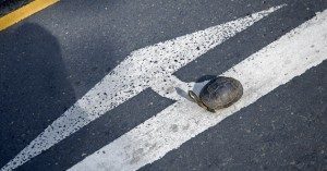 Definición de Inaudito » Concepto en Definición